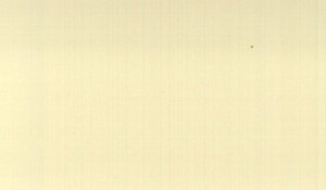 Ace Fast Faux Wood Color Samples